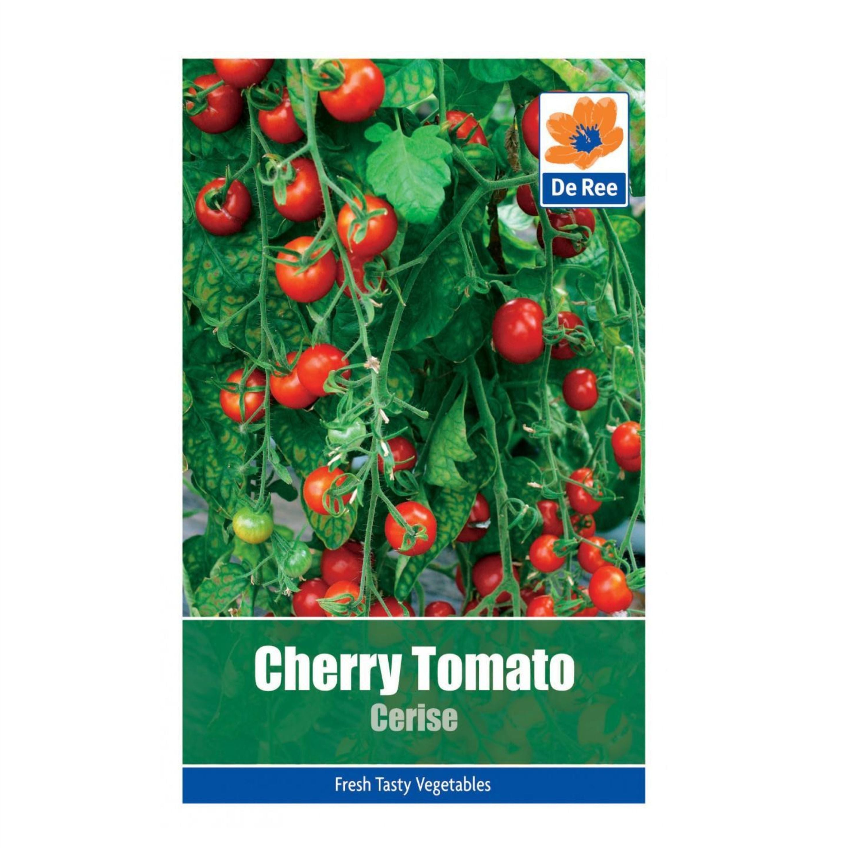 Tomato Red Cherry Cerise – lovetogrow